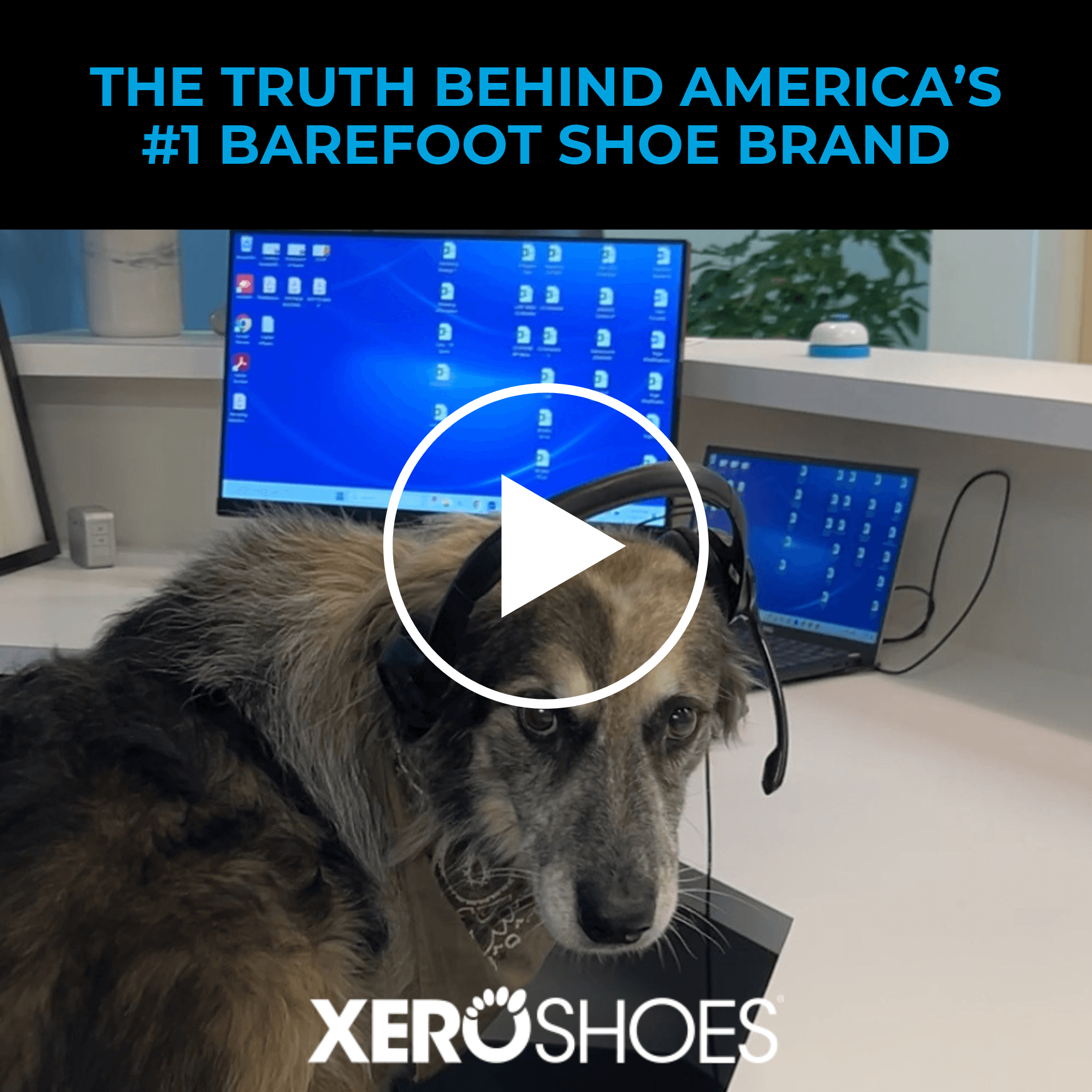 The Truth About America’s #1 Barefoot Shoe Brand - Xero Shoes - Xero Shoes